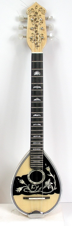 BA19 Maple